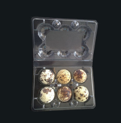 Disposable plastic quail egg tray 6 holes quail egg tray plastic egg tray for quail eggs 6 slots