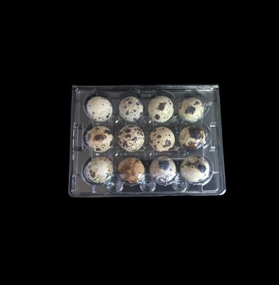 Disposable plastic quail egg tray 6 holes quail egg tray plastic egg tray for quail eggs 6 slots