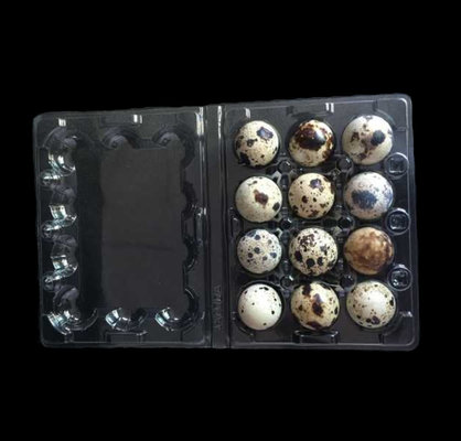 Disposable plastic quail egg tray 6 holes quail egg tray plastic egg tray for quail eggs 6 slots