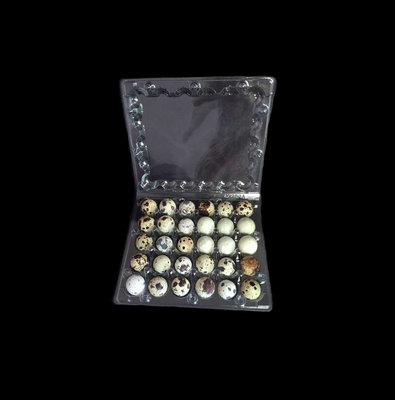 Disposable plastic quail egg tray 6 holes quail egg tray plastic egg tray for quail eggs 6 slots