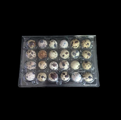 Disposable plastic quail egg tray 6 holes quail egg tray plastic egg tray for quail eggs 6 slots