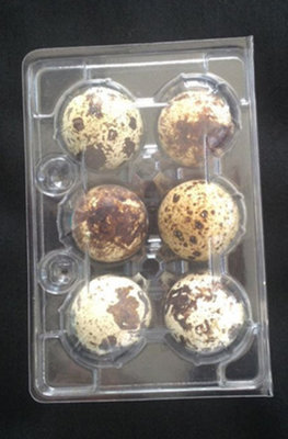 Disposable plastic quail egg tray 6 holes quail egg tray plastic egg tray for quail eggs 6 slots