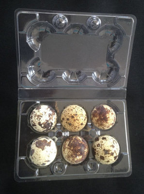 Disposable plastic quail egg tray 6 holes quail egg tray plastic egg tray for quail eggs 6 slots