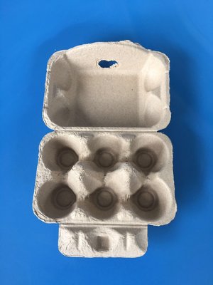 plup paper egg tray egg packing box 6 pcs