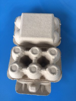 plup paper egg tray egg packing box 6 pcs