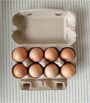 plup paper egg tray egg packing box 8 pcs disposable egg packing box paper packing box