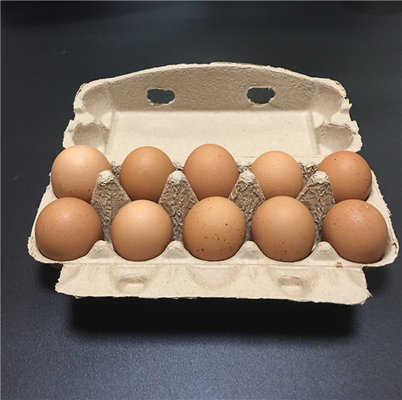 plup paper egg tray egg packing box 10 pcs disposable egg packing box paper packing box