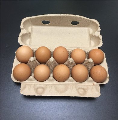 plup paper egg tray egg packing box 10 pcs disposable egg packing box paper packing box