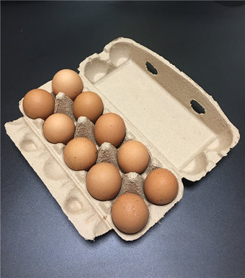 plup paper egg tray egg packing box 10 pcs disposable egg packing box paper packing box