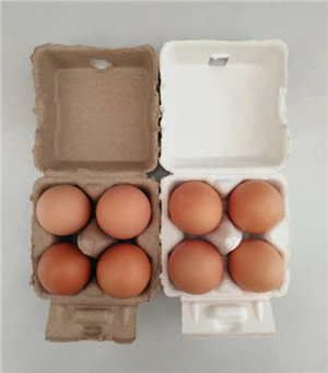 plup paper egg tray egg packing box 4 pcs disposable egg packing box paper packing box
