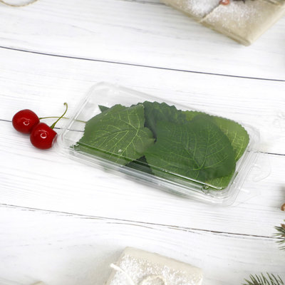 Plastic disposable clear PET keep food fresh fruit clamshell packaging