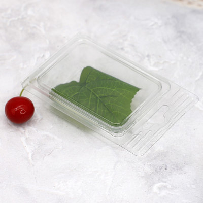 Plastic disposable clear PET keep food fresh fruit clamshell packaging
