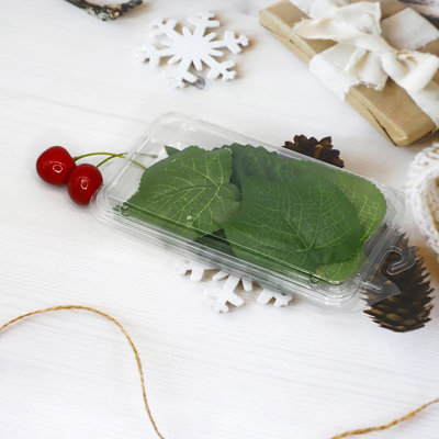 Plastic disposable clear PET keep food fresh fruit clamshell packaging