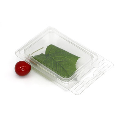 Plastic disposable clear PET keep food fresh fruit clamshell packaging