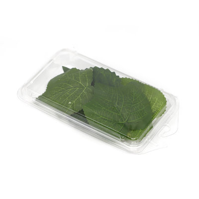 Plastic disposable clear PET keep food fresh fruit clamshell packaging