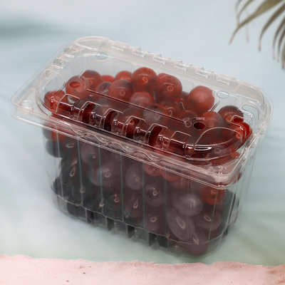 Vacuum Formed Blister clear PET fruit clamshell Packaging for grape