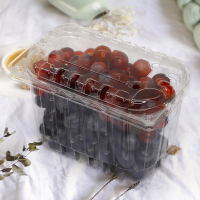Vacuum Formed Blister clear PET fruit clamshell Packaging for grape