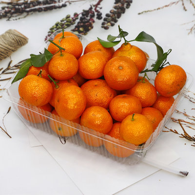 Vacuum Formed Blister clear PET food grade  fruit container tray