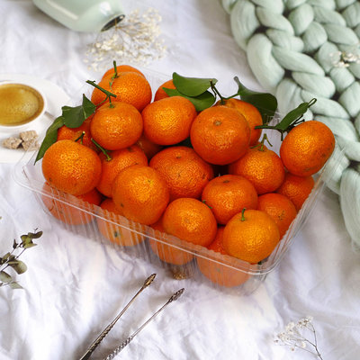 Vacuum Formed Blister clear PET food grade  fruit container tray
