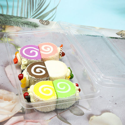 Disposable Plastic PET Blister Food cake Container