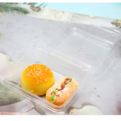 Square Disposable Plastic PET Food storage cake Container