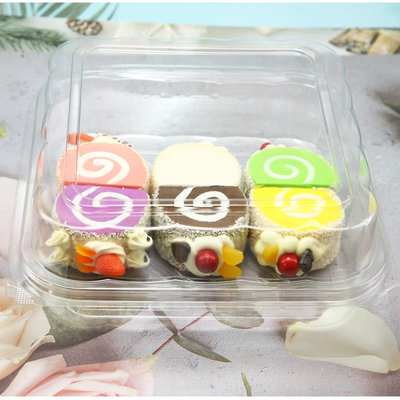 Square Disposable Plastic PET Food storage cake Container
