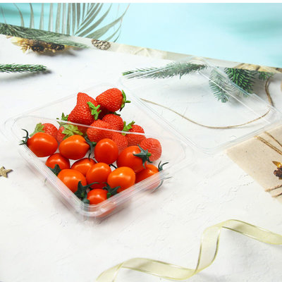 plastic clear 2 compartments fruit salad container box