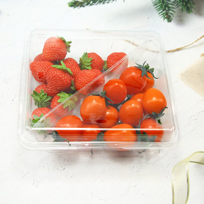 plastic clear 2 compartments fruit salad container box