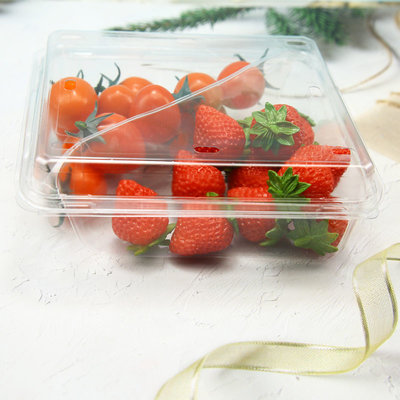 plastic clear 2 compartments fruit salad container box