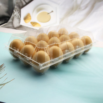 disposable plastic clear 15holes chicken egg tray