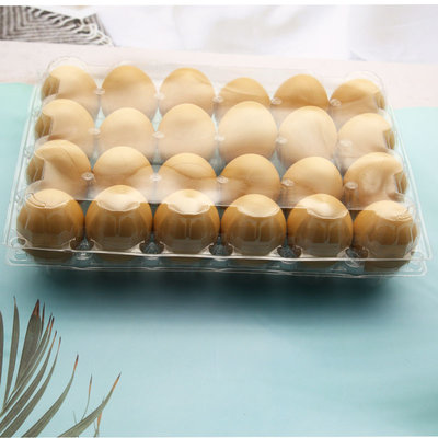 plastic clear chicken 24holes egg tray