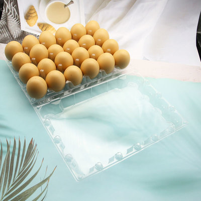 plastic clear chicken 24holes egg tray