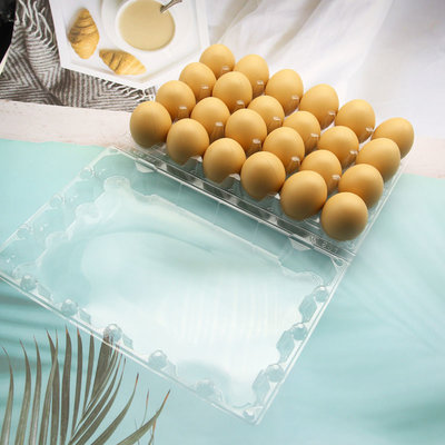 plastic clear chicken 24holes egg tray