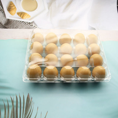 disposable plastic blister clear 20holes chicken egg tray