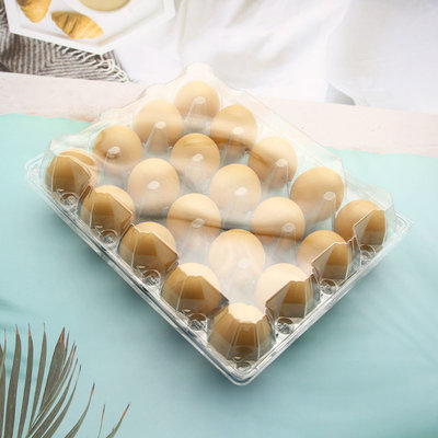 disposable plastic blister clear 20holes chicken egg tray
