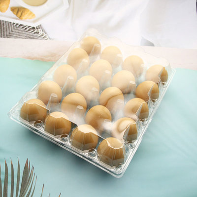 disposable plastic blister clear 20holes chicken egg tray