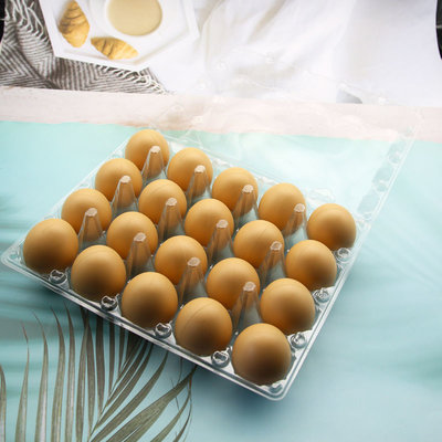 disposable plastic blister clear 20holes chicken egg tray