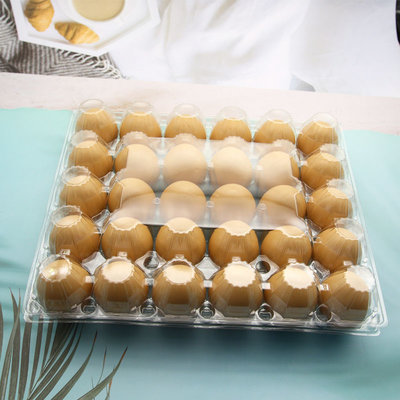 plastic clear PET 30 holes chicken egg tray packaging