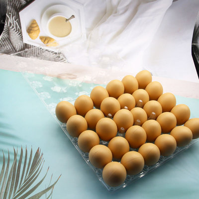 plastic clear PET 30 holes chicken egg tray packaging