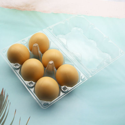 plastic clear PET 6 holes chicken egg tray