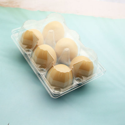 plastic clear PET 6 holes chicken egg tray
