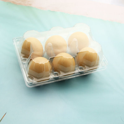 plastic clear PET 6 holes chicken egg tray
