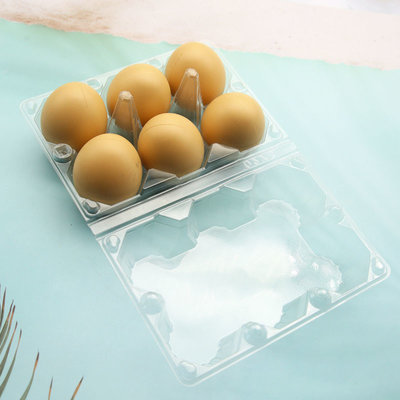 plastic clear PET 6 holes chicken egg tray
