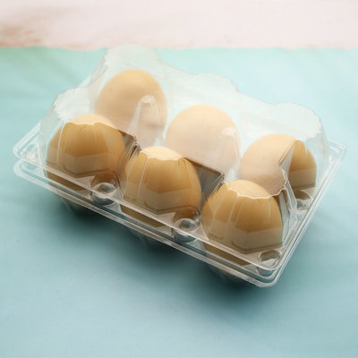 plastic clear PET 6 holes chicken egg tray