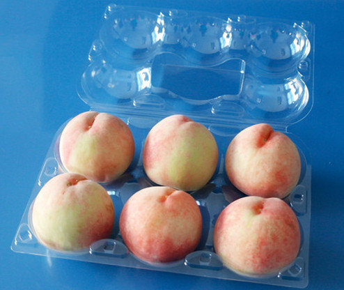 Manufactury Disposable plastic fruit packaging punnets Food trade material PET plastic food packaging box