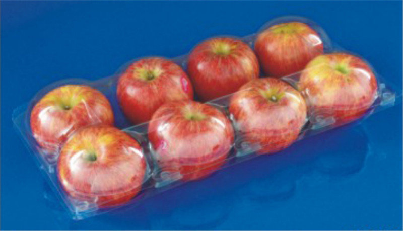 Manufactury Disposable plastic fruit packaging punnet Food grade material PET plastic food packaging box FDA EU approved