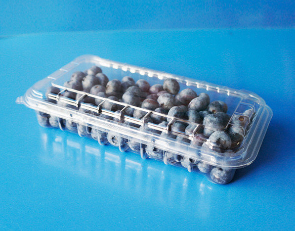 China Manufactory Disposable plastic blueberry packaging punnets 250 grams blueberry packaging box/container FDA approve