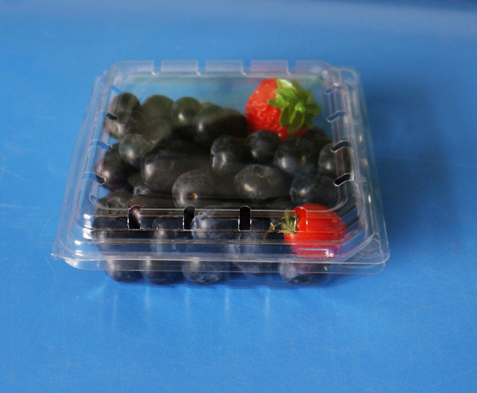 Manufactury Disposable plastic fruit tray 150 grams punnet fruit packaging box blueberry packaging box