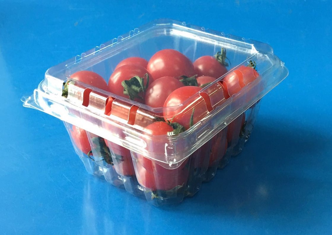 Disposable plastic fruit container Tomotos Grape Blueberry Strawberry packaging box PET food grade packaing FDA EU