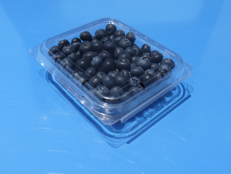 Disposable plastic fruit  packaging box with holes blueberry 125 grams packaging container PET plastic blueberry punnets